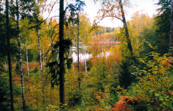 Pandivere kõrgustik - Eesti Entsüklopeedia
