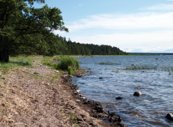 Vergi poolsaar - Eesti Entsüklopeedia